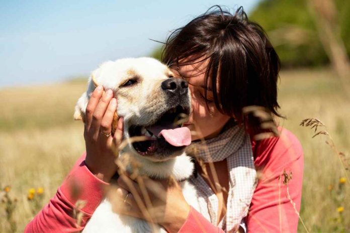 Cagnolino rivede la padrona dopo sei mesi: l'incontro è commovente ...