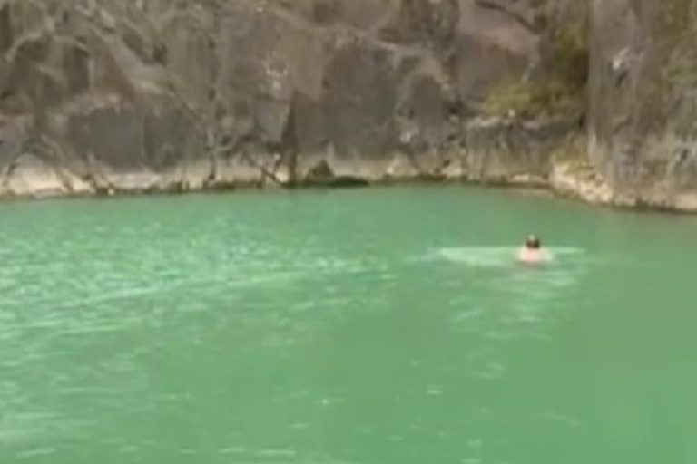 Uomo si butta nell'acqua gelida: c'è un cane da salvare